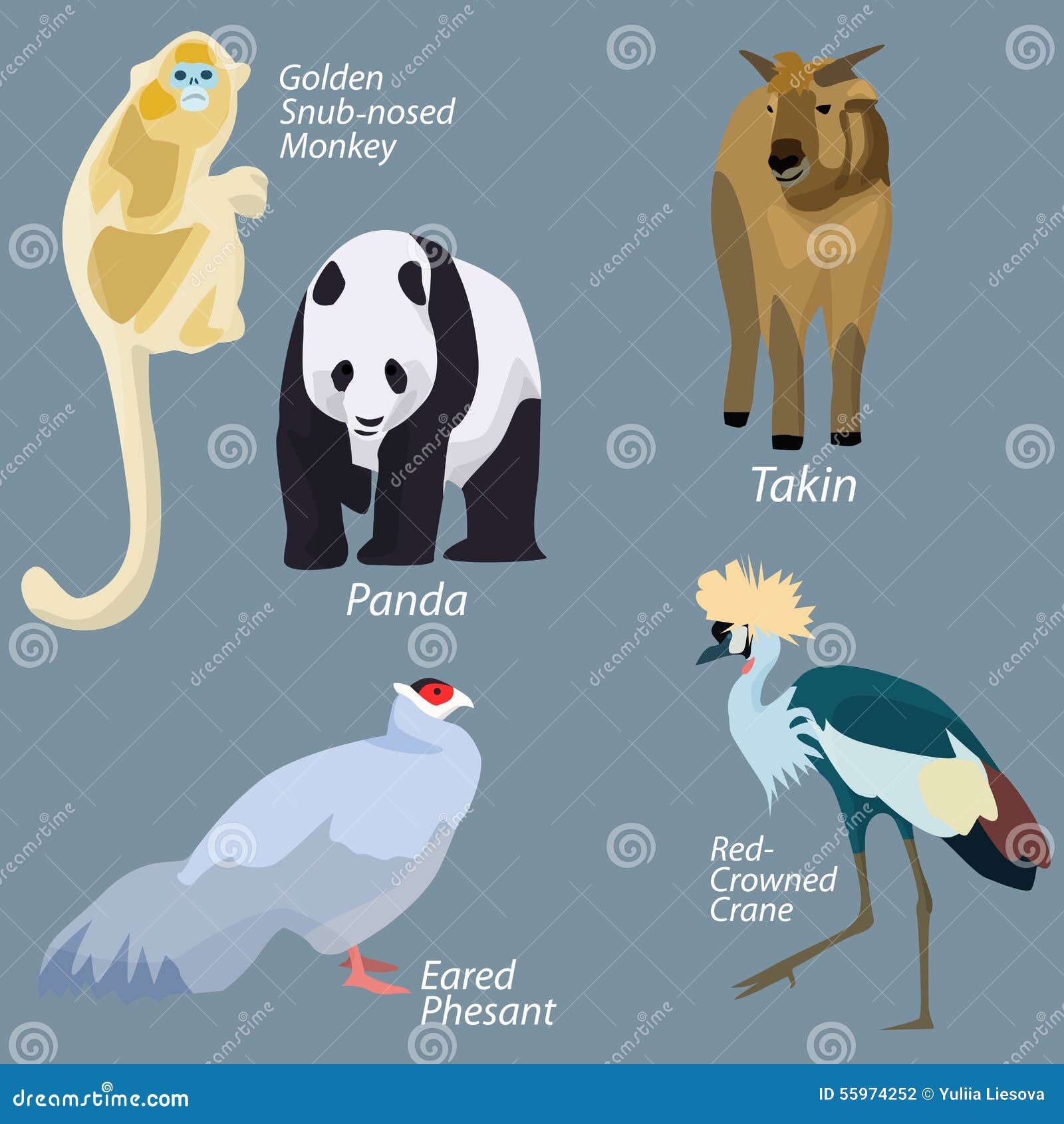 Animals of China in Simple Design Stock Vector - Illustration of ...