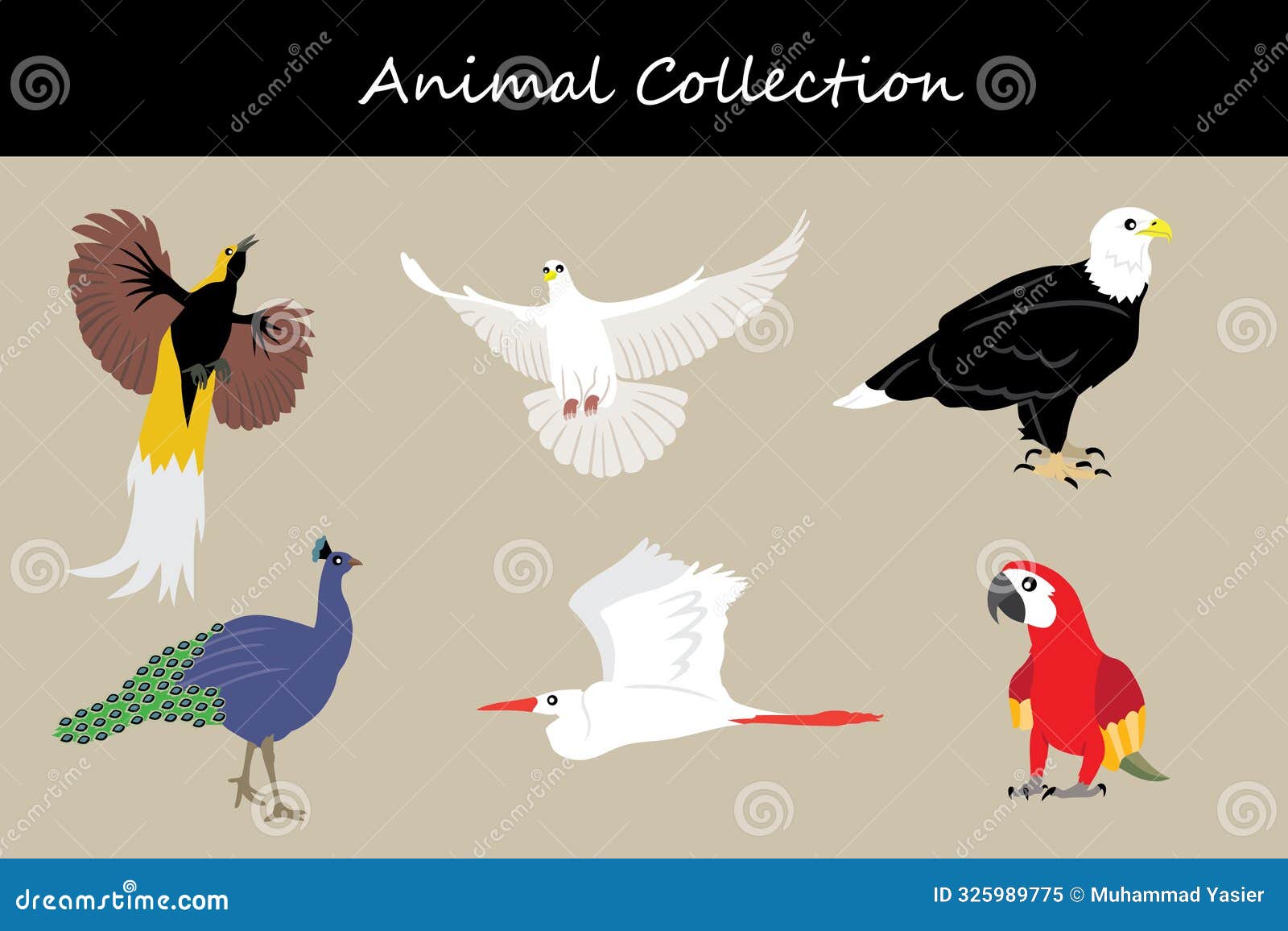 Animals Collection on White Background. Flat Style Vector Illustration ...