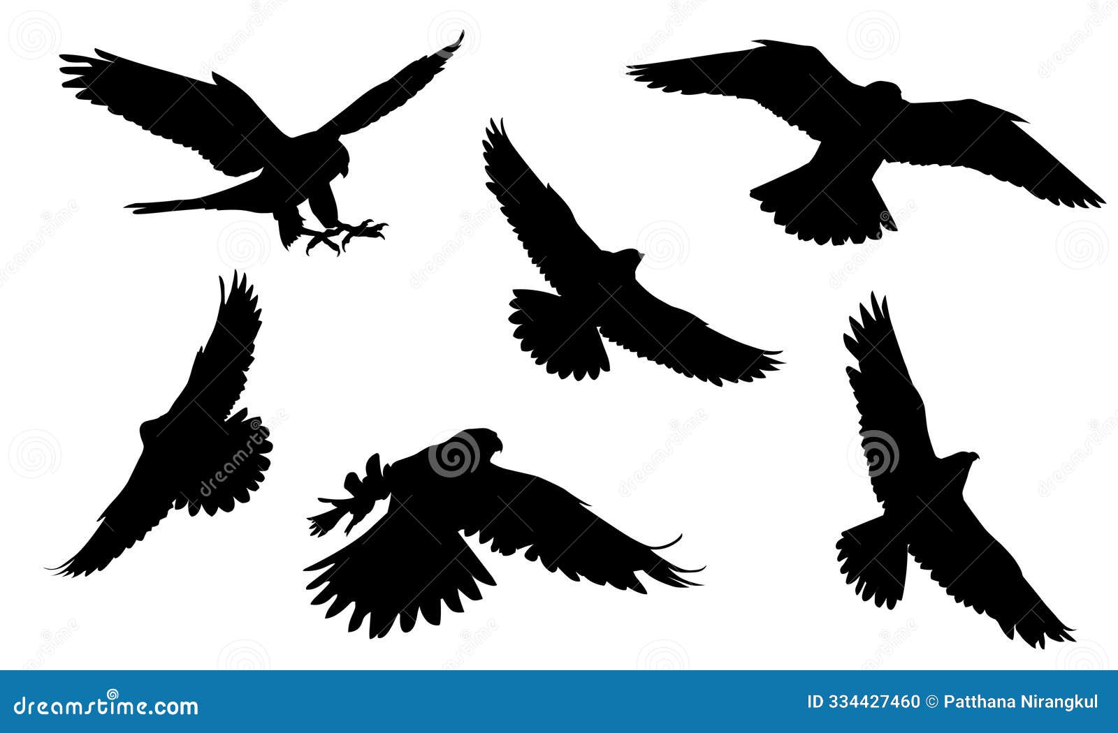 Animals Eagle Hawk Bird Fly Swoop Attack Silhouette Set Collection on ...