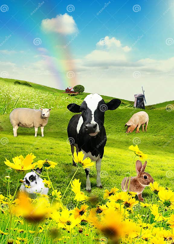 Animals in field 2 stock photo. Image of collage, live - 13736230