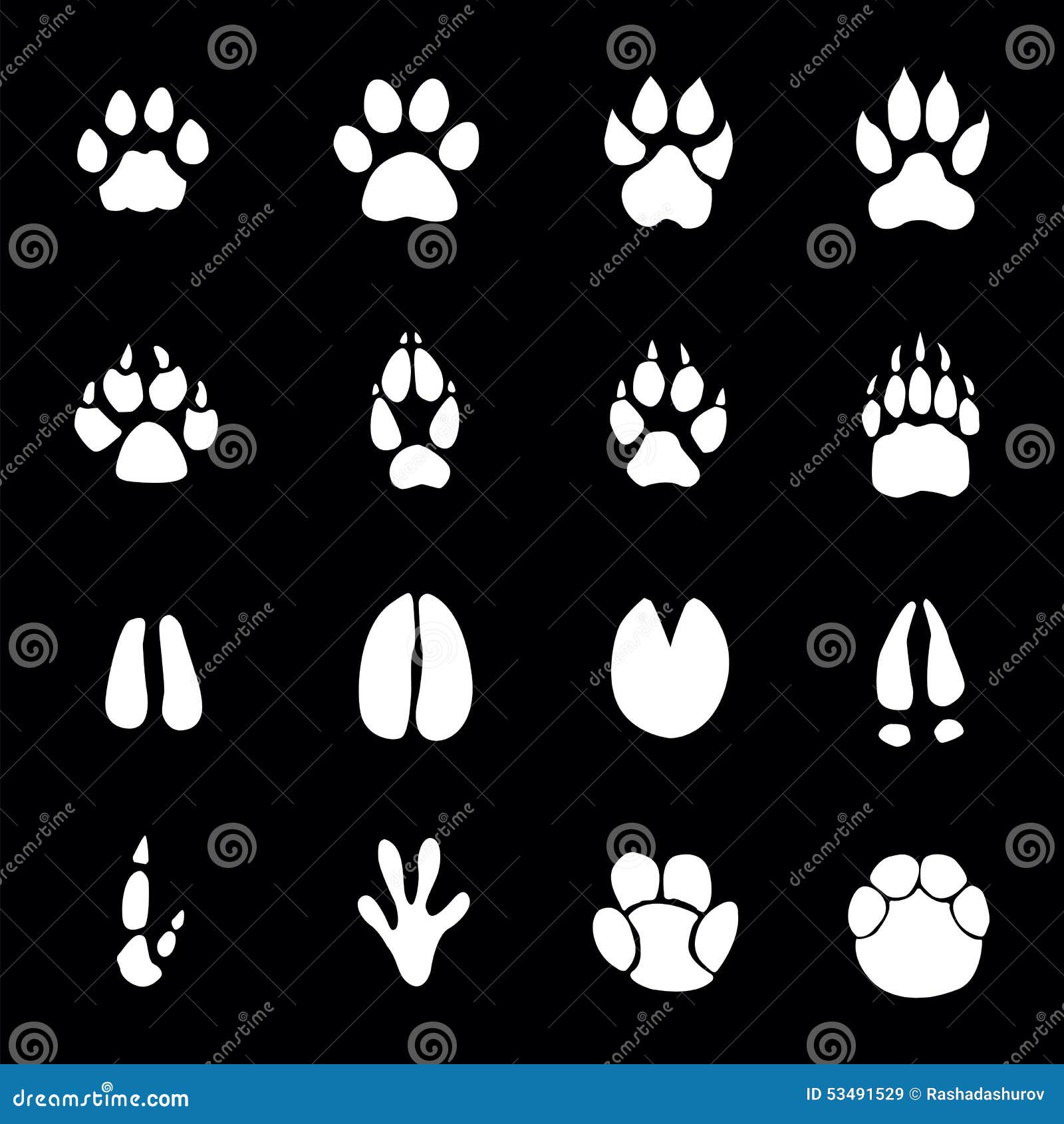 Animals footprints stock vector. Illustration of graphic - 53491529