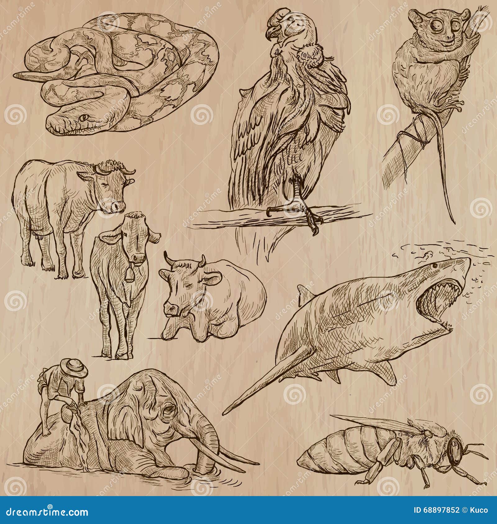 Animals - Hand Drawn Vector Pack Stock Vector - Illustration of ...