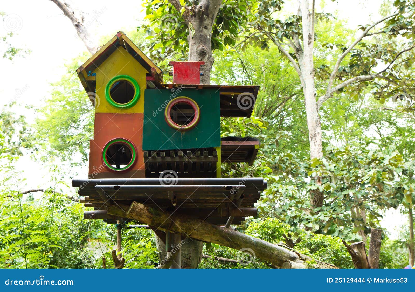 Animals house stock photo. Image of nature, creative - 25129444