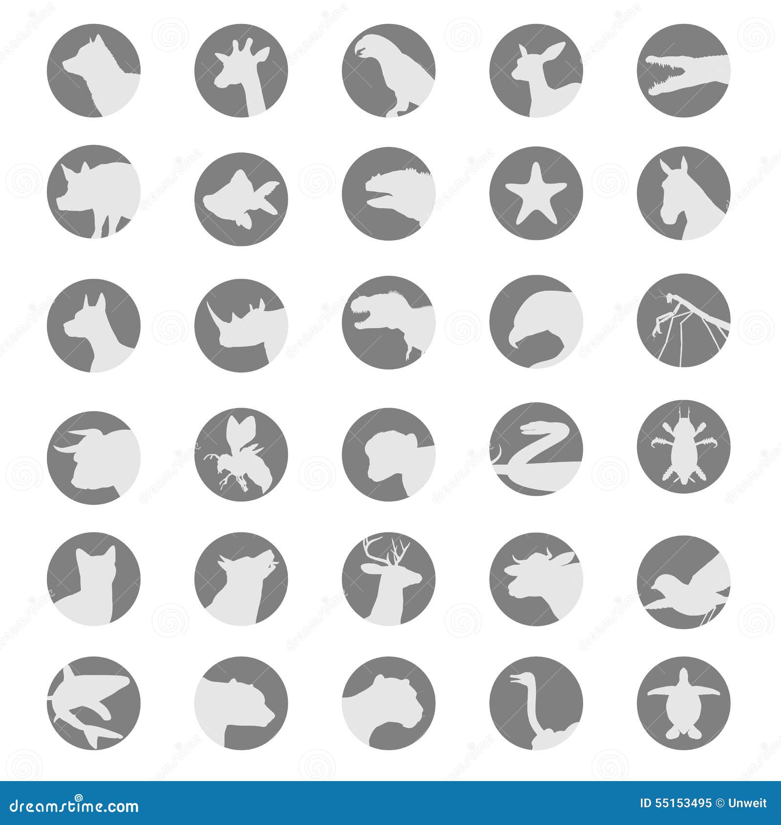 Animals and Insects Avatar Collection Stock Vector - Illustration of ...