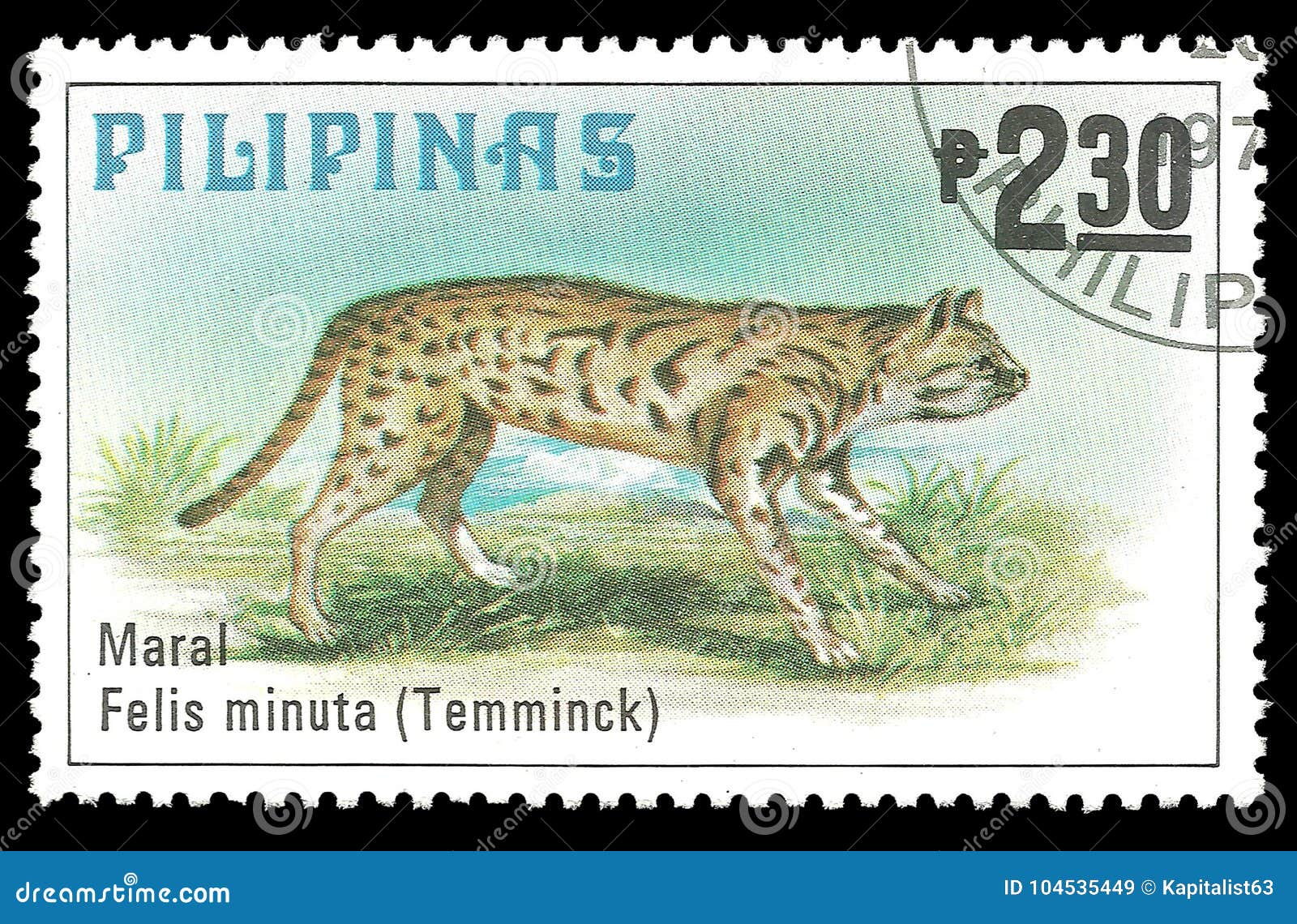 Animals, Leopard Cat editorial stock image. Image of animal - 104535449