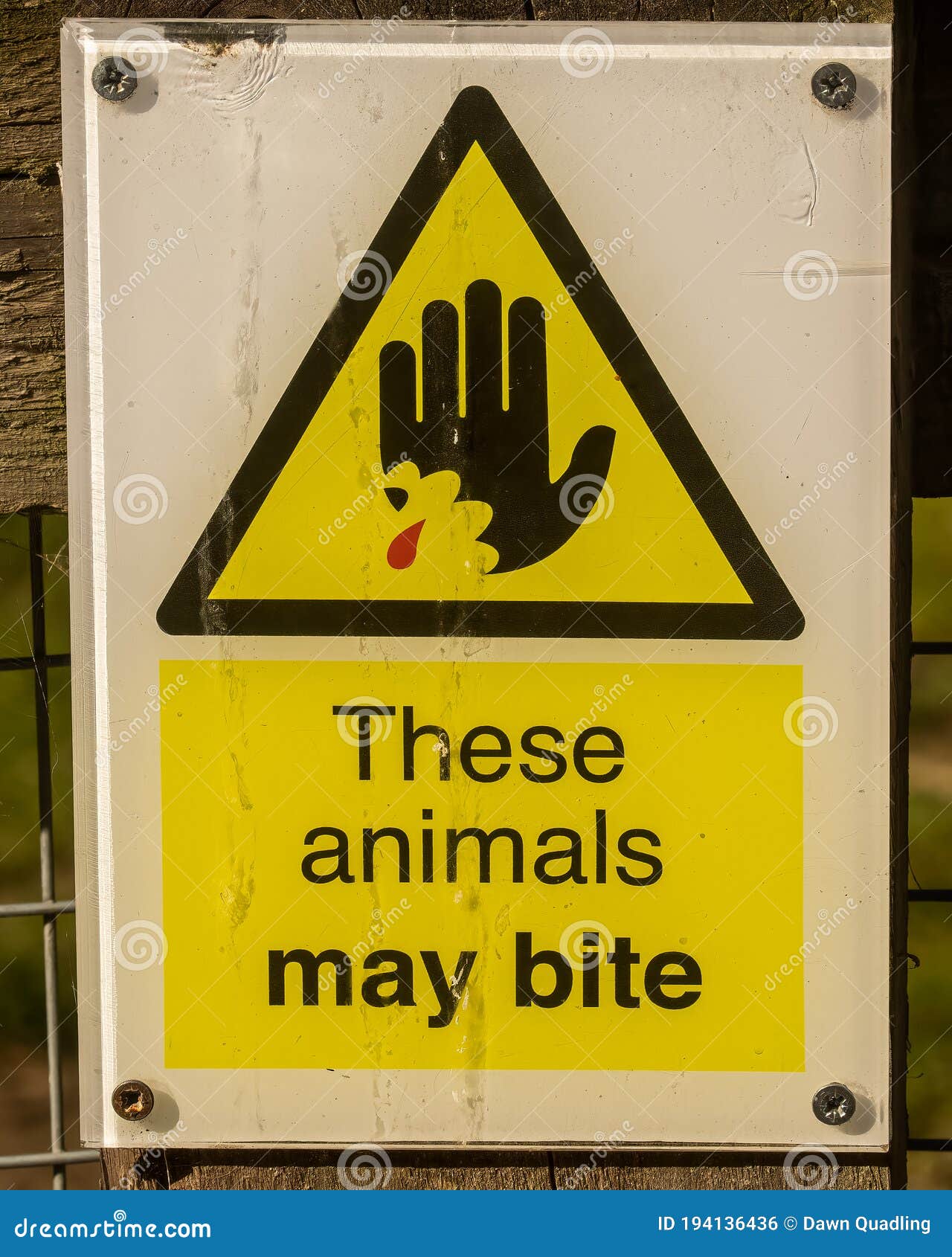 These Animals May Bite Sign in Yellow and Black on White Editorial ...