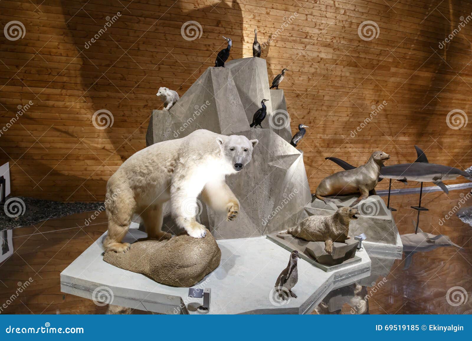 Animals at National Museum editorial image. Image of wild - 69519185