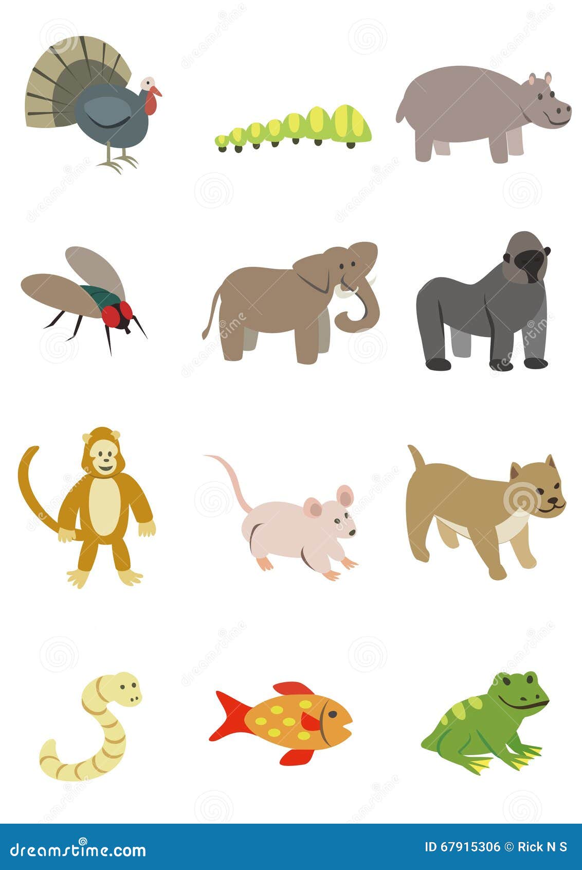 Animals Pack 4 stock vector. Illustration of monkey, modern - 67915306