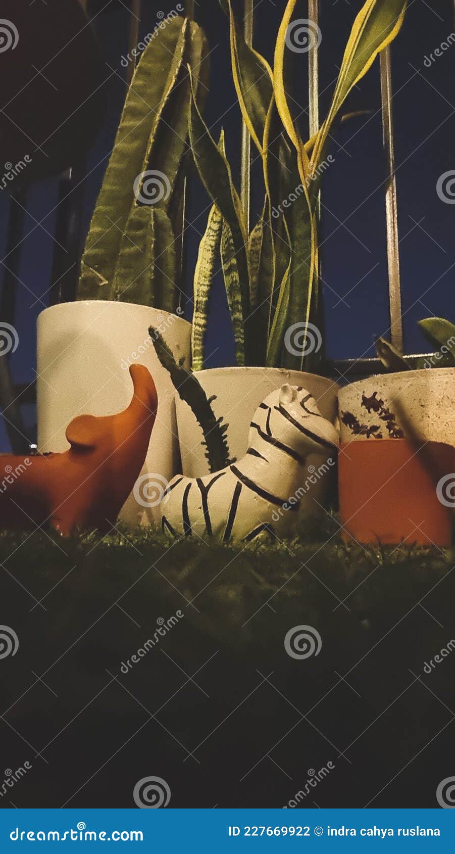 Animals pot on terrace stock photo. Image of poster - 227669922