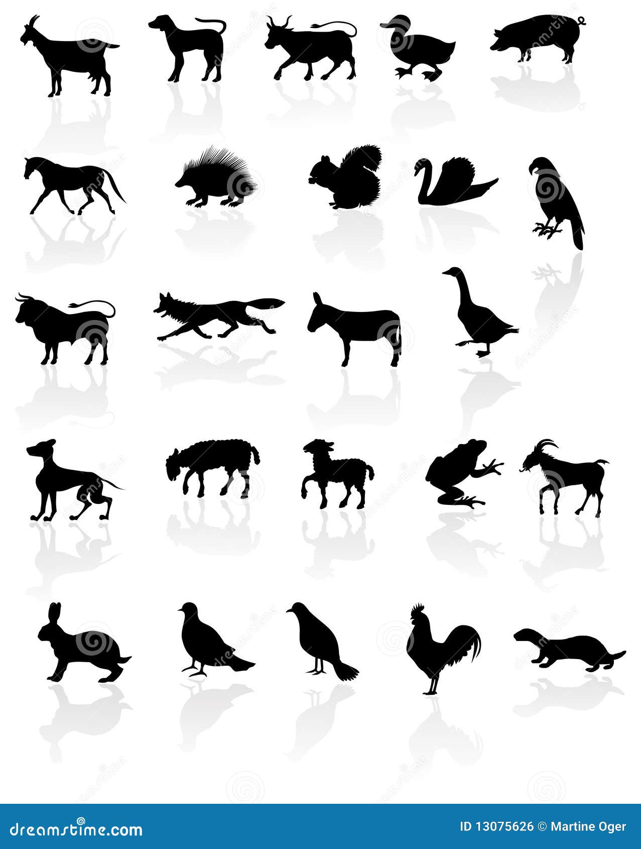 Animals with reflection. stock vector. Illustration of isolated - 13075626