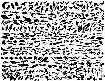 Animals set stock vector. Illustration of creature, bird - 7195397