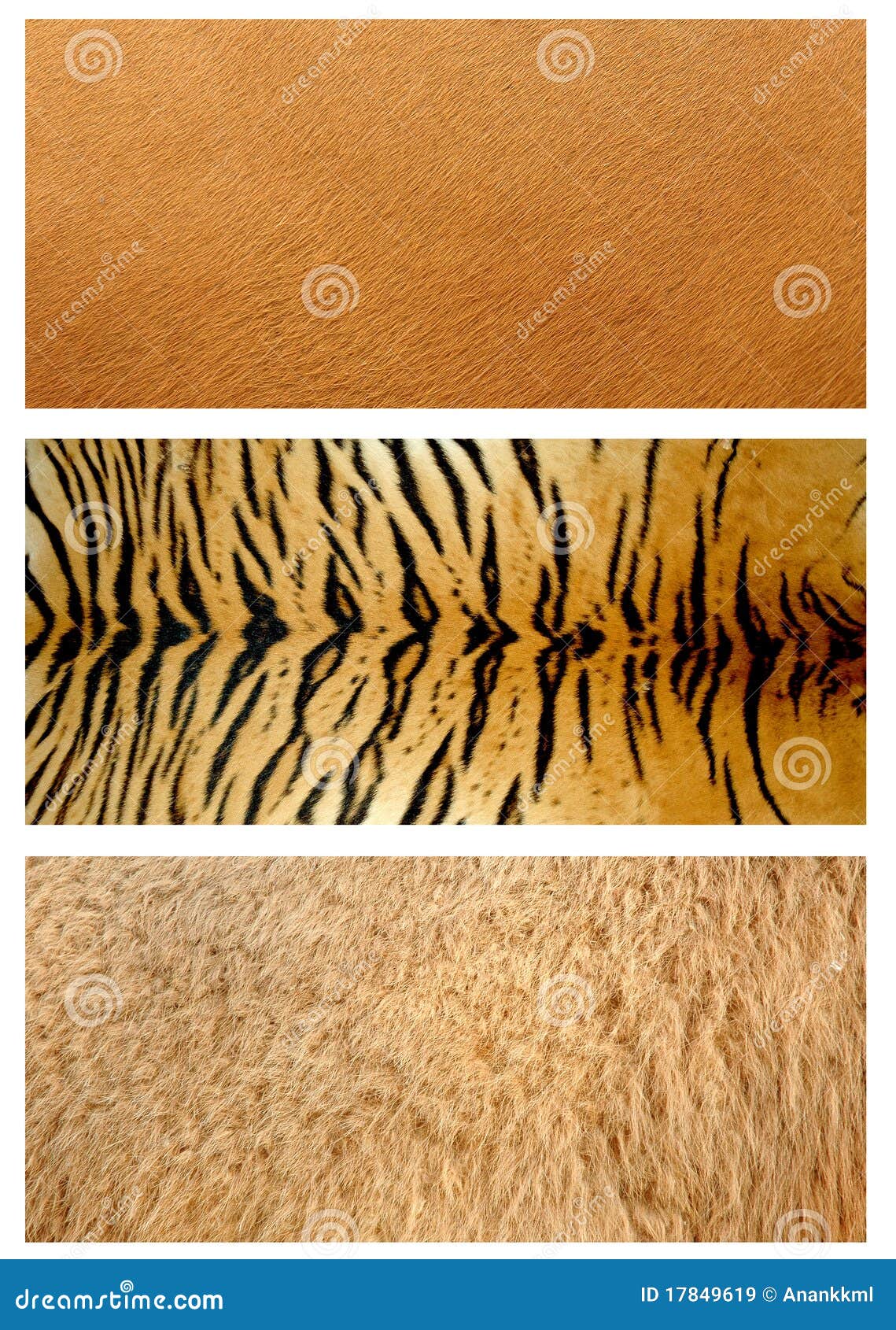 866 Camel Skin Photos - Free & Royalty-Free Stock Photos from Dreamstime