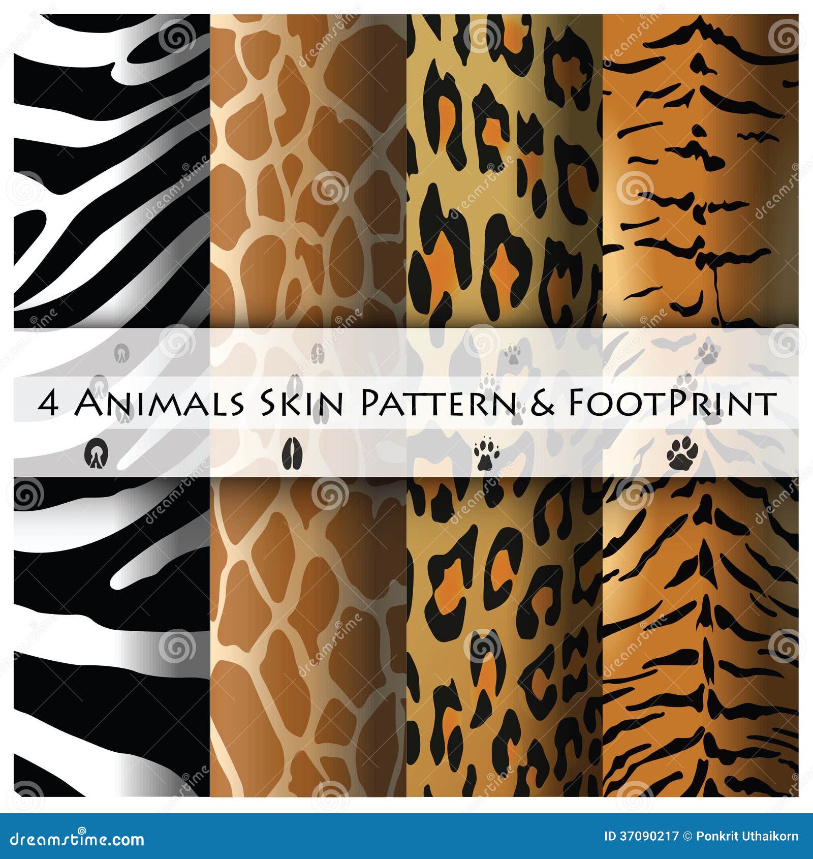 Zebra Footprint. Zebra Track. Ungulate Animal Footprints. Mammal Animal ...