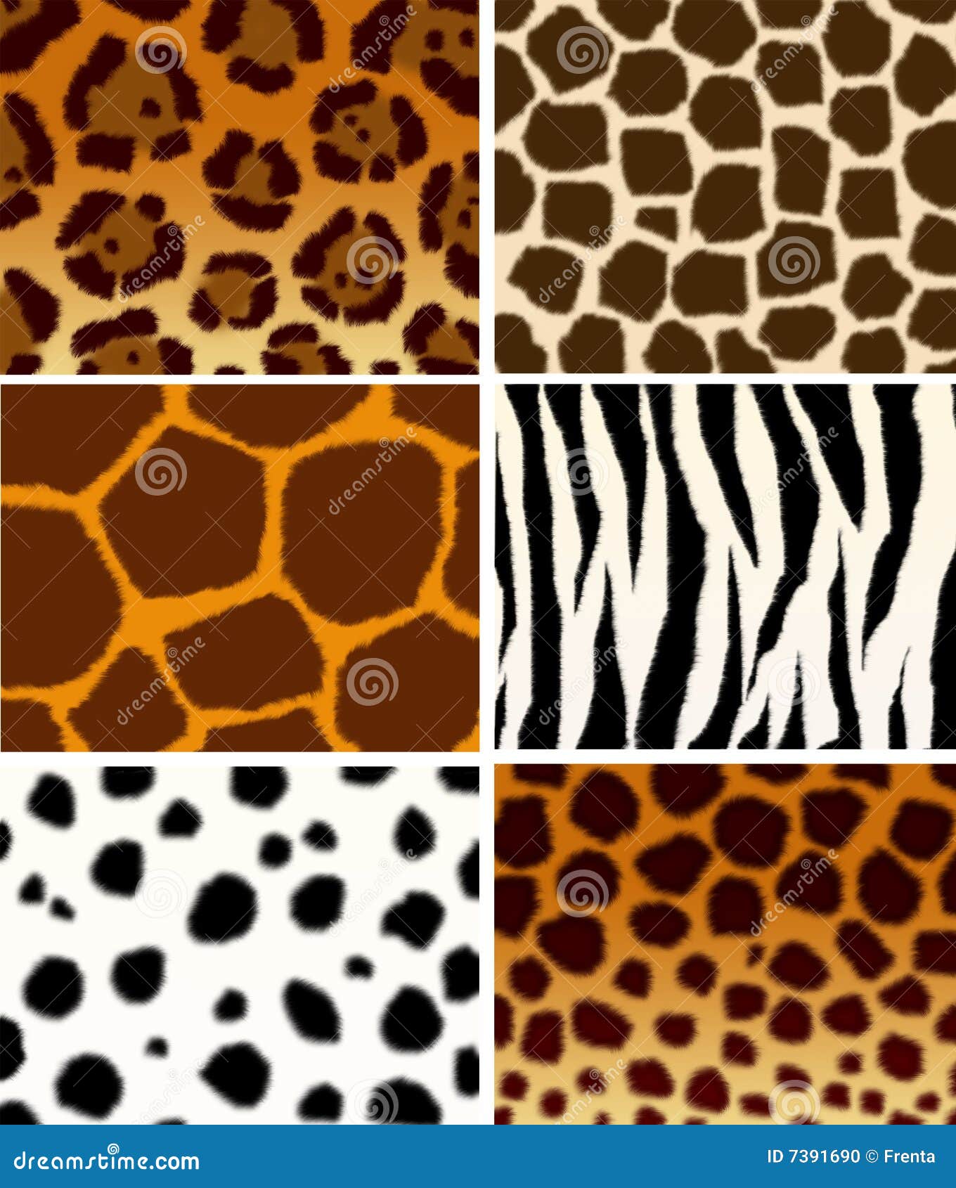 Animals skins textures stock illustration. Illustration of realistic ...