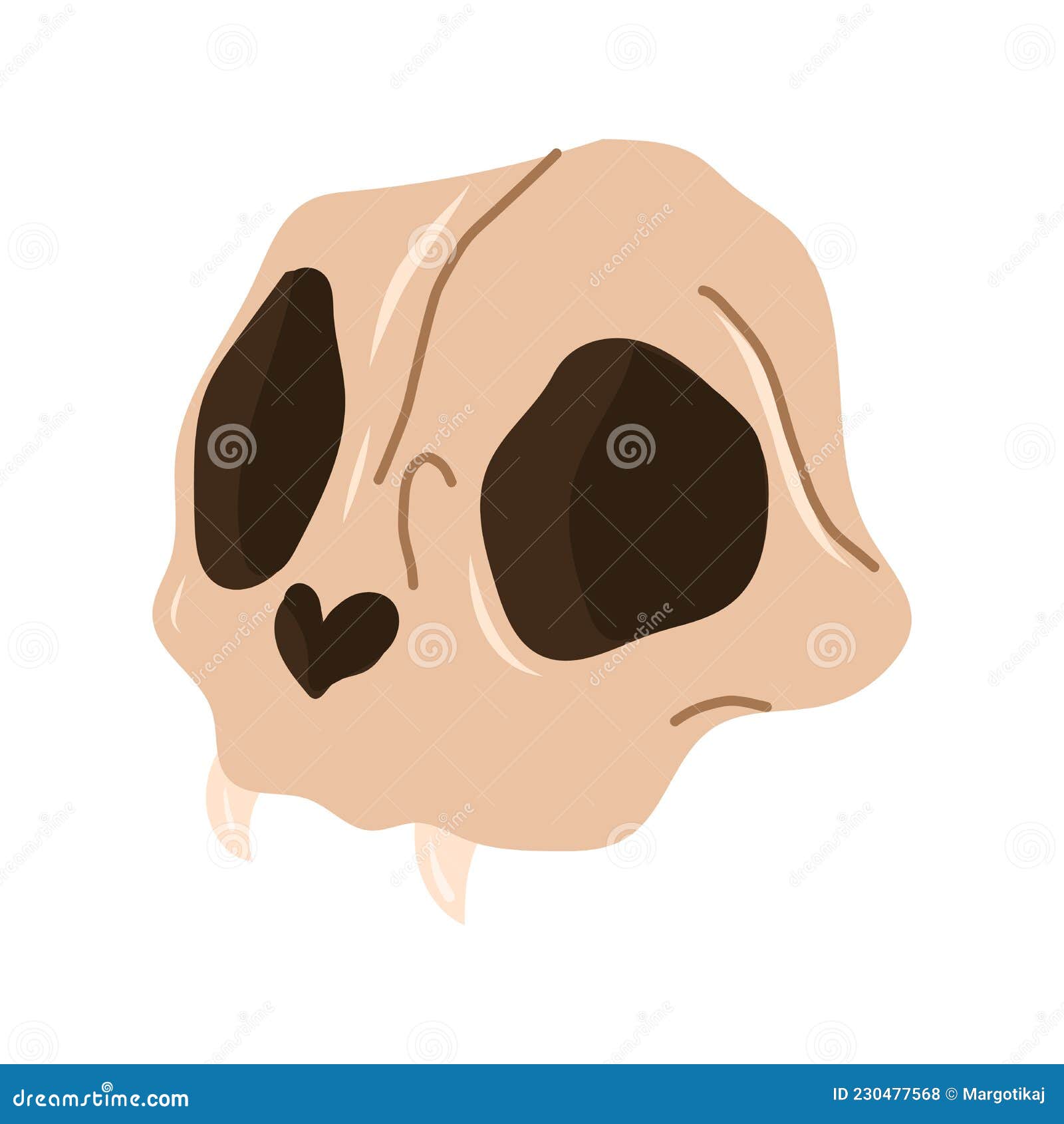 Animals Skull with Fangs.Witchcraft Magic Design Elements Stock Vector ...
