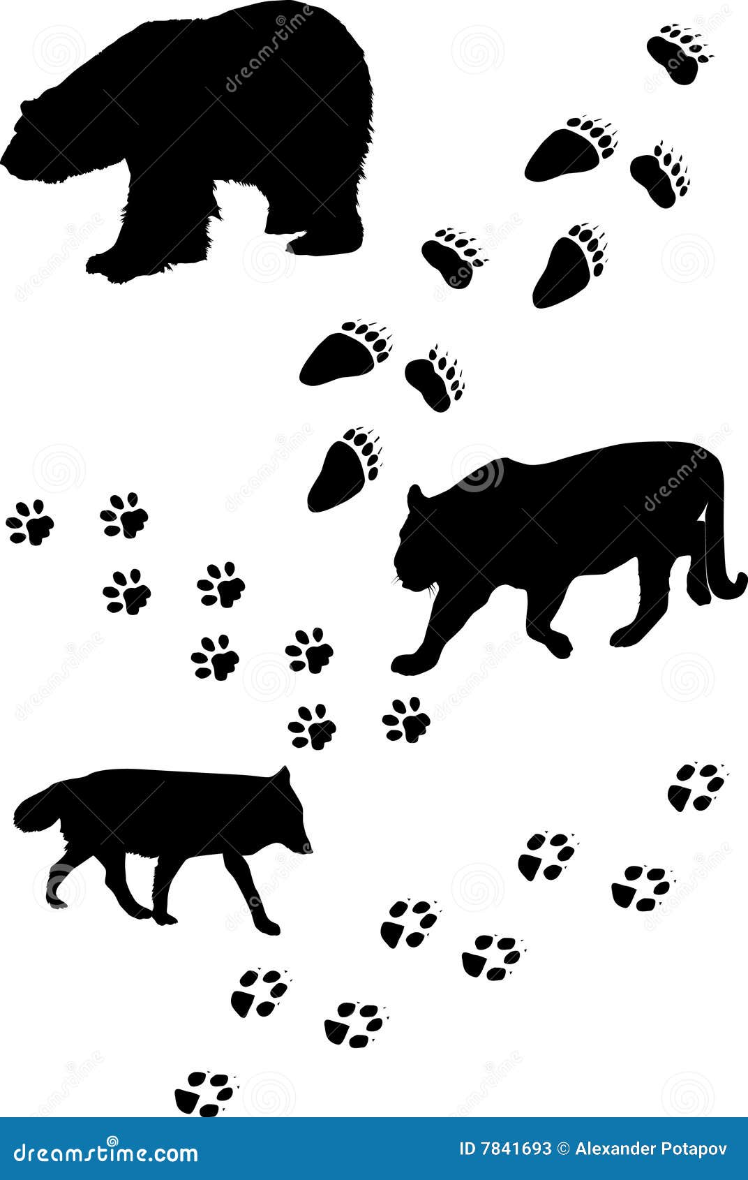 Animals and tracks stock illustration. Illustration of shape - 7841693