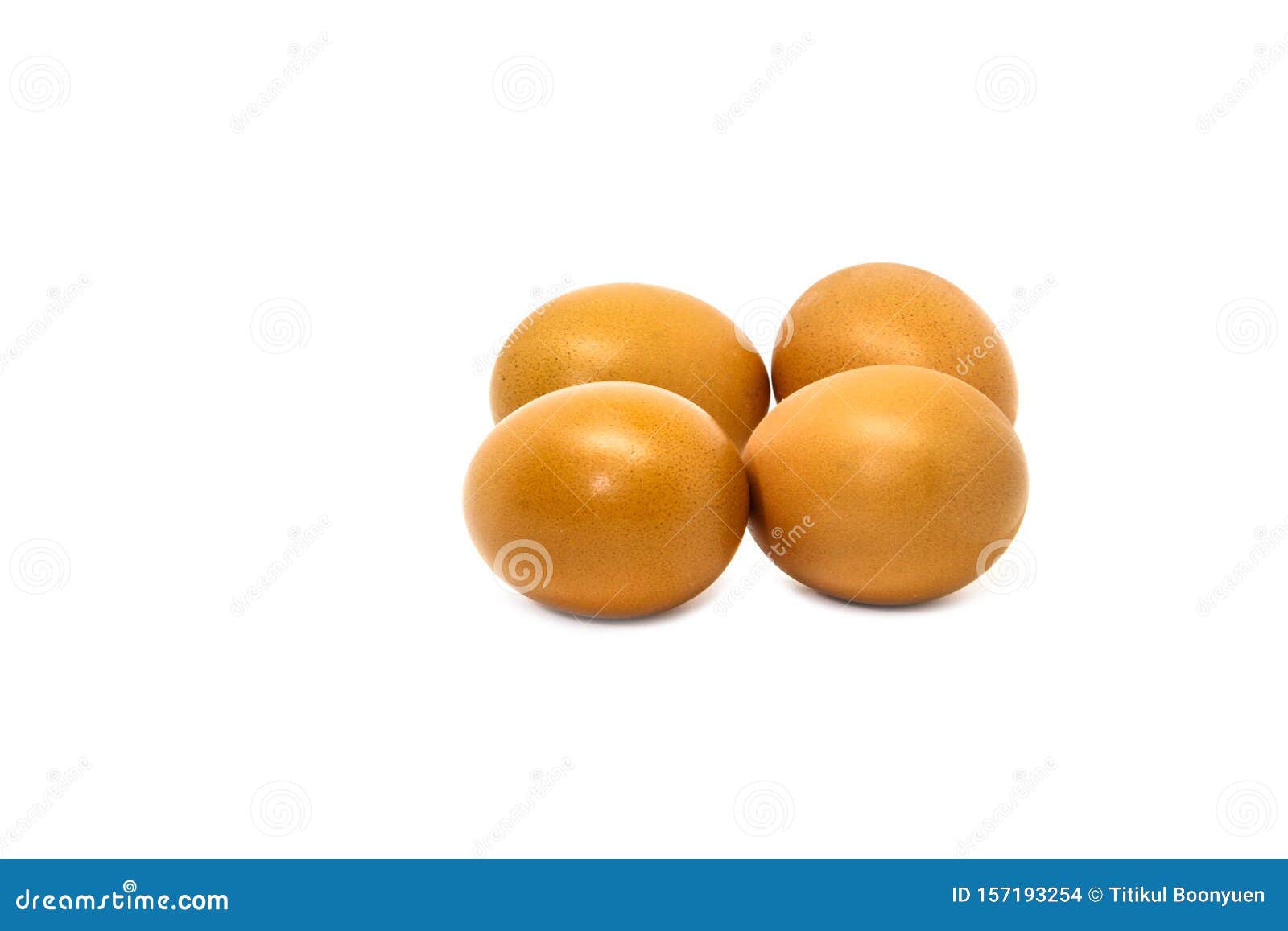 Development Of The Embryo Chicken. Stock Photography | CartoonDealer ...