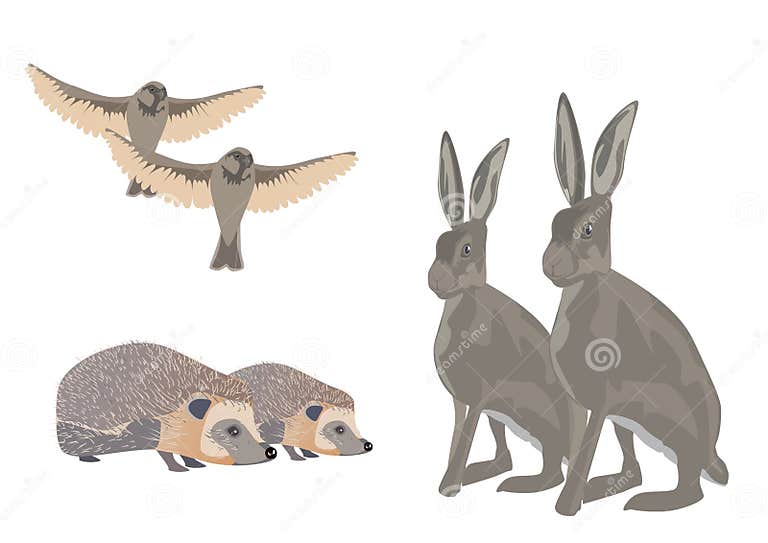 Animals on a White Background Stock Illustration - Illustration of ...