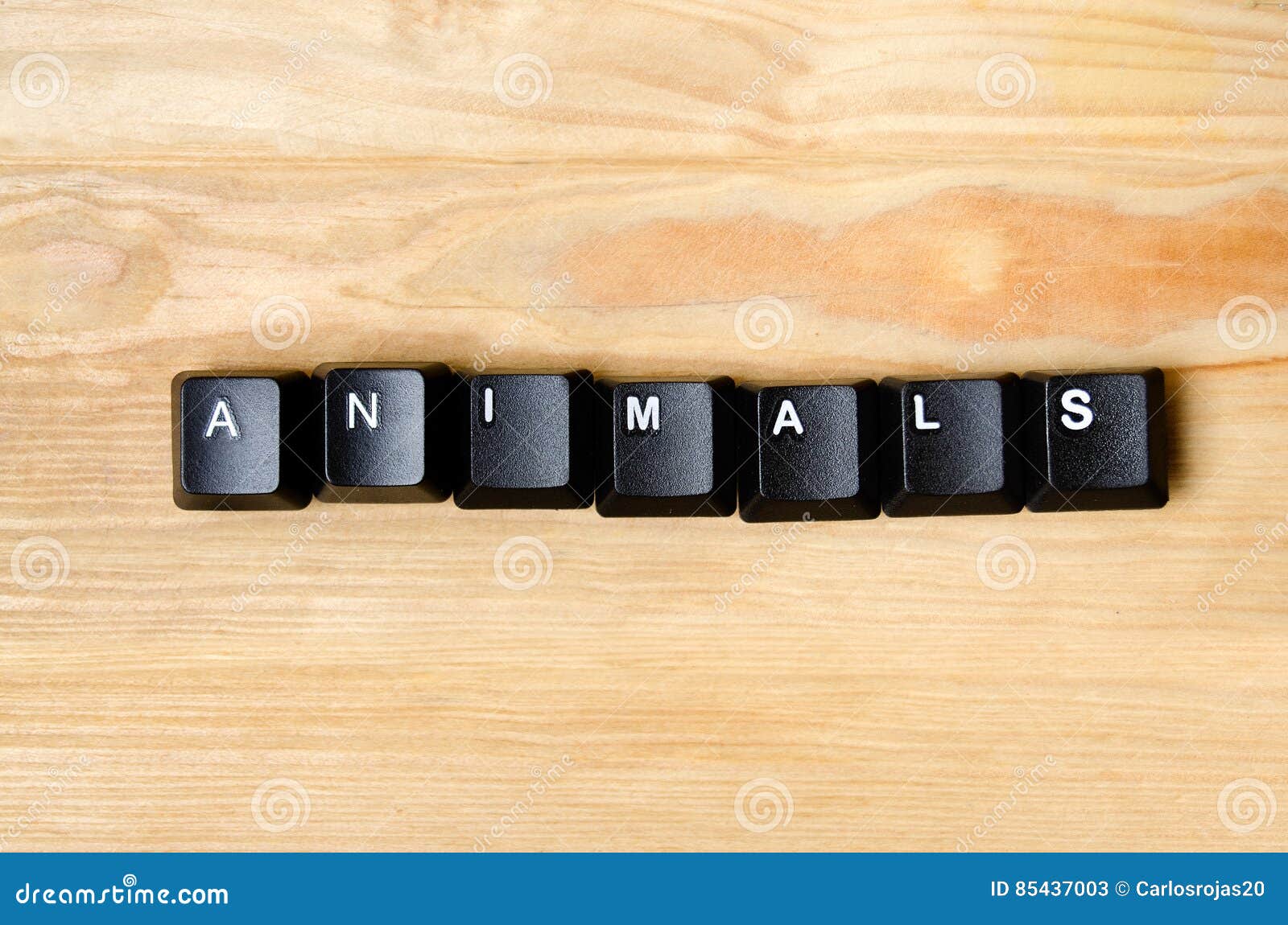 Animals word stock image. Image of quote, typography - 85437003
