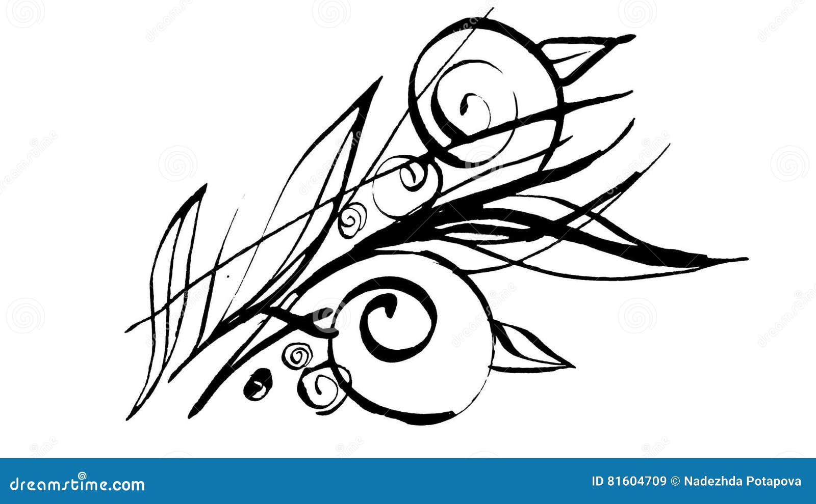 Animated Calligraphy Ink Drawing Botany Stock Video - Video of botany ...