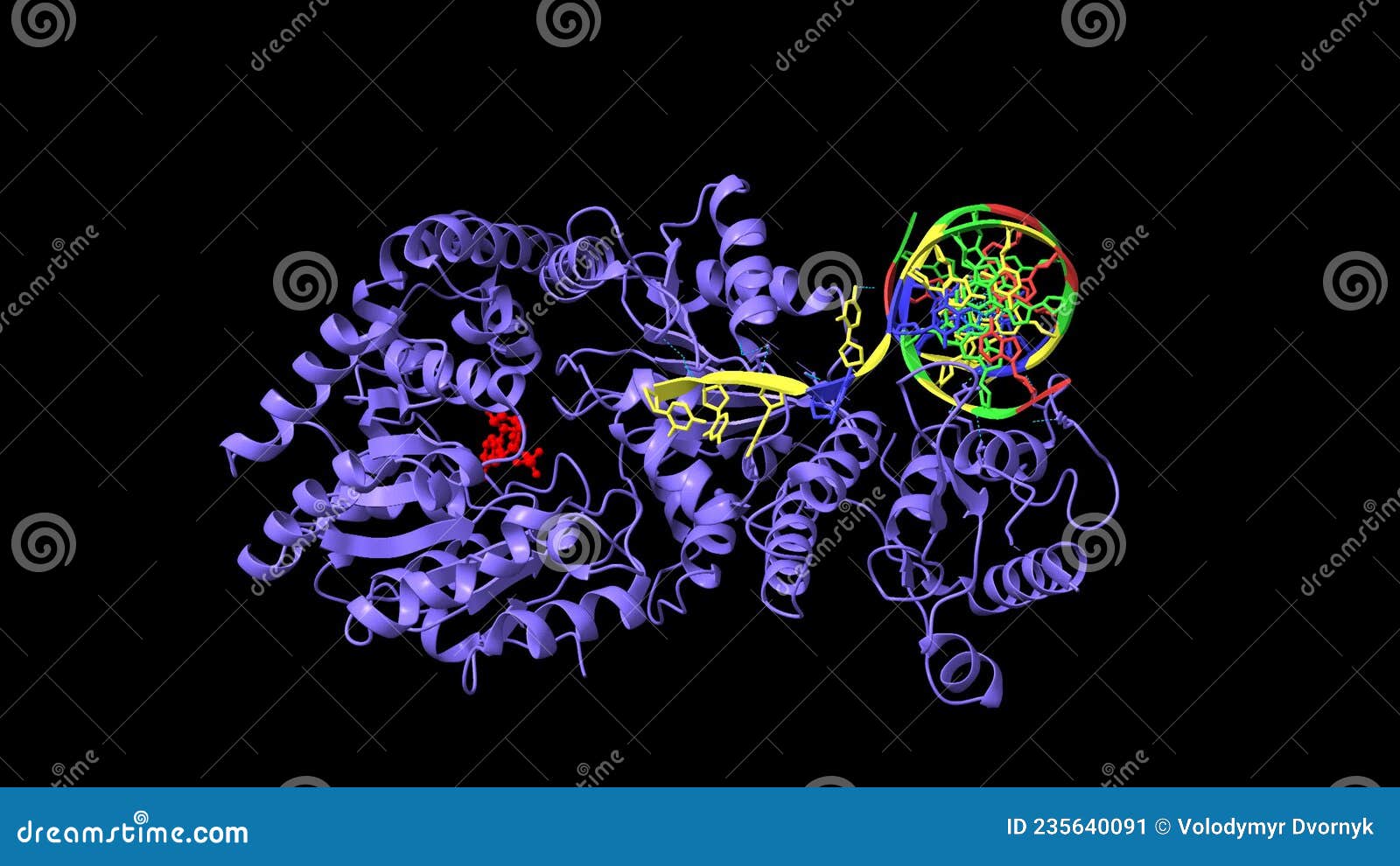Crystal Structure of the Bloom`s Syndrome Helicase BLM in Complex with ...