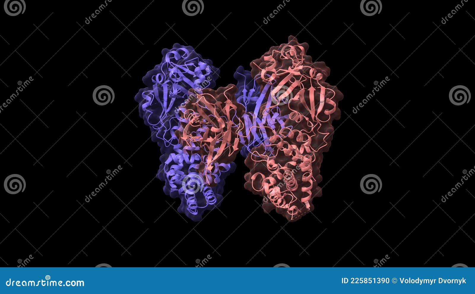 Animated 3D Model of Diphtheria Toxin Dimer Stock Footage - Video of ...