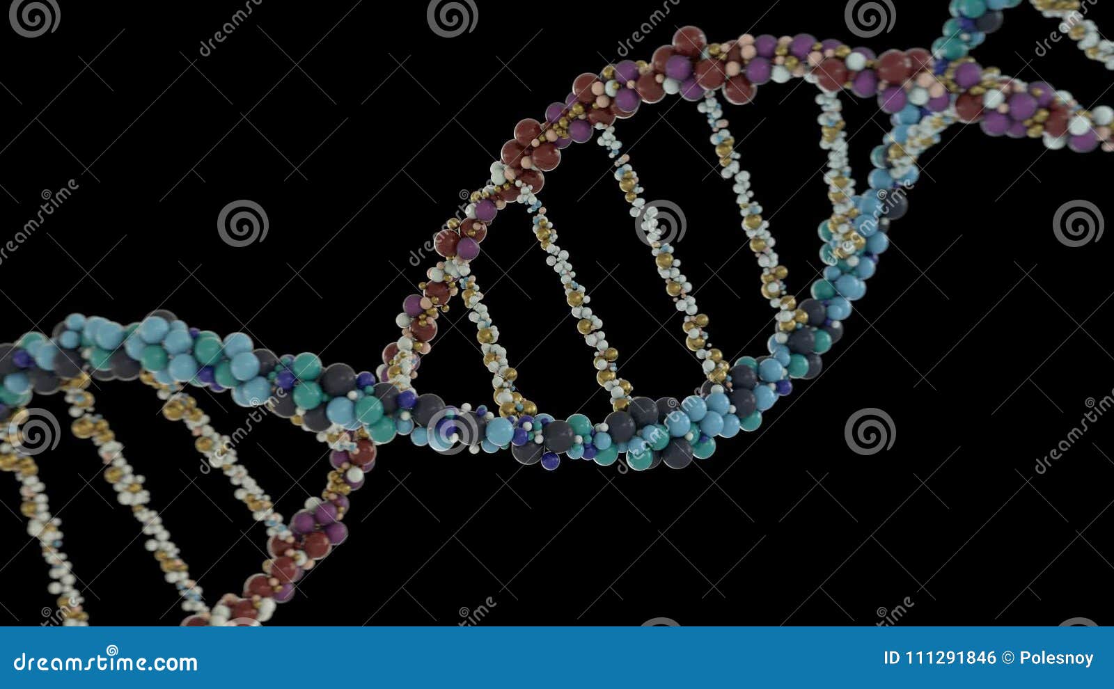 Animated DNA Chain Model. 3D Stock Footage - Video of atom ...