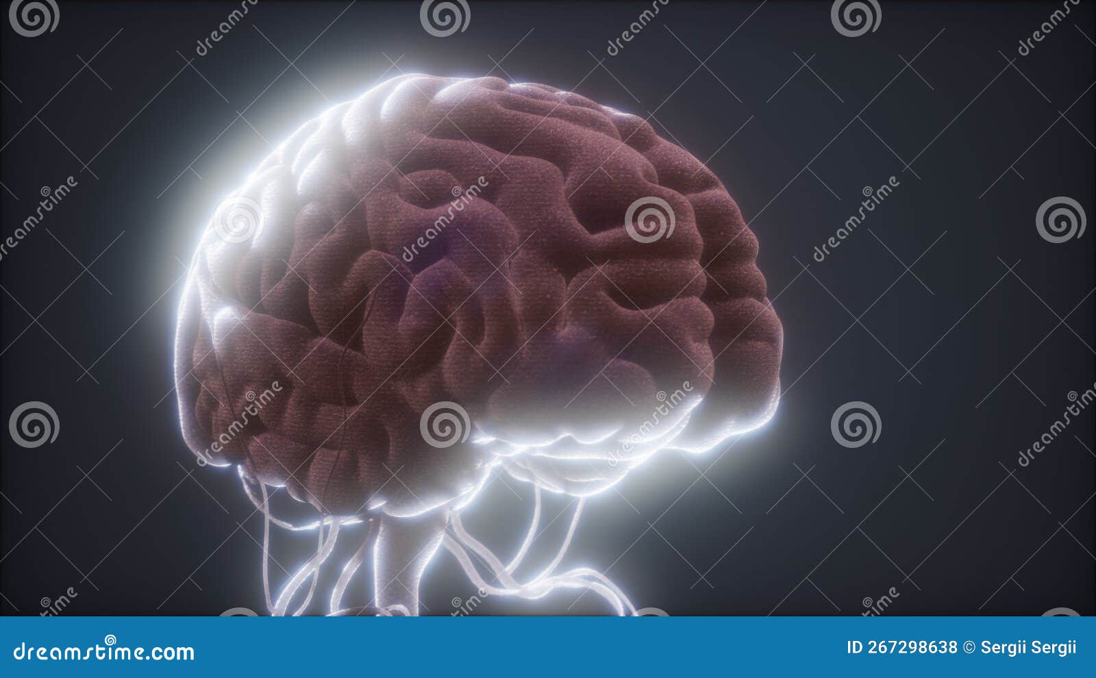 Animated Model of Human Brain Stock Illustration - Illustration of cell ...