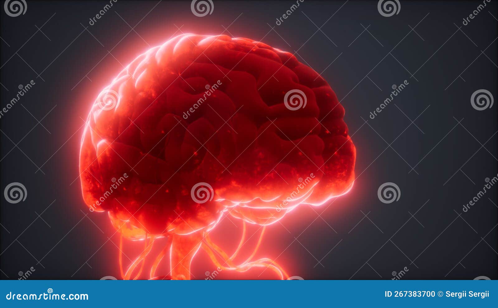Animated Model of Human Brain Stock Illustration - Illustration of ...