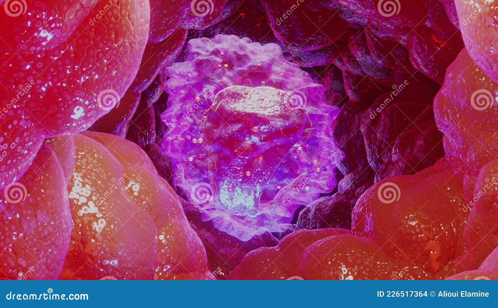 Animated Monocyte Type Leukocyte Cell, White Blood Cells, Stock Footage ...