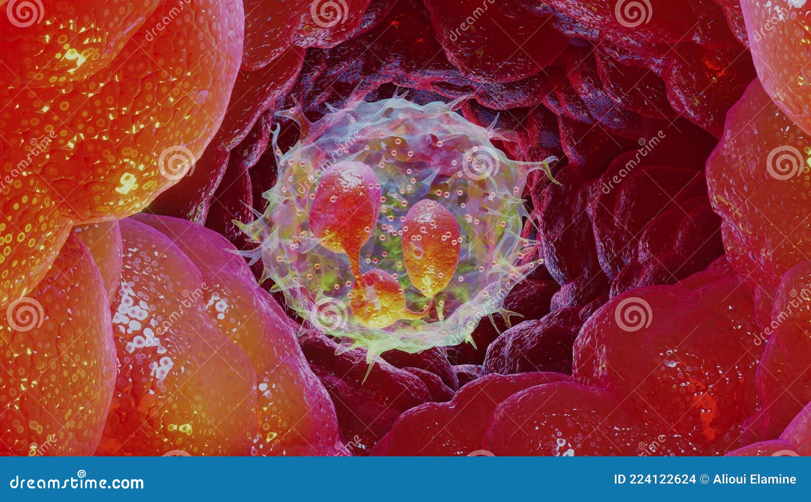 Animated Neutrophiles Type Leukocyte Cell, White Blood Cells, 3d Stock ...