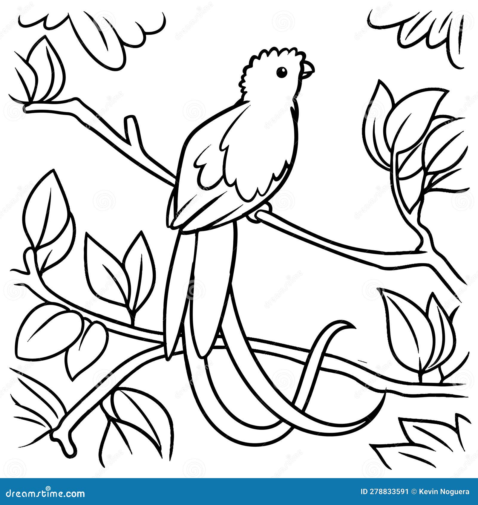 Quetzal Bird Cartoon Coloring Page Vector Stock Vector - Illustration ...
