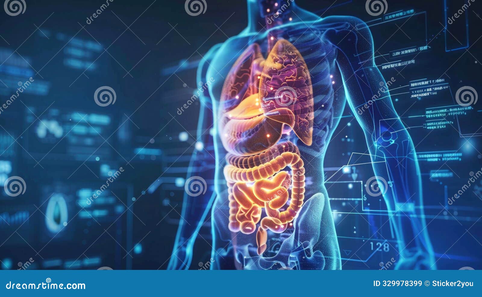 Animated Sequence Showing the Digestion Process and Nutrient Absorption ...