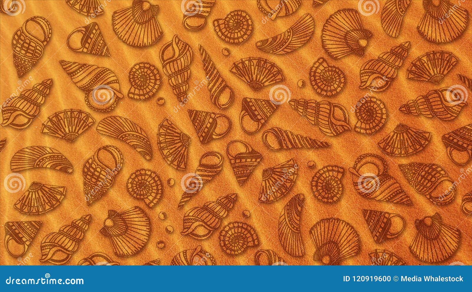 Animation of Background with Seashells. Seashell Collection on Sand ...