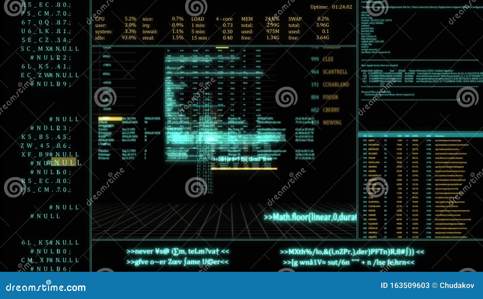 Spy Computer Screen