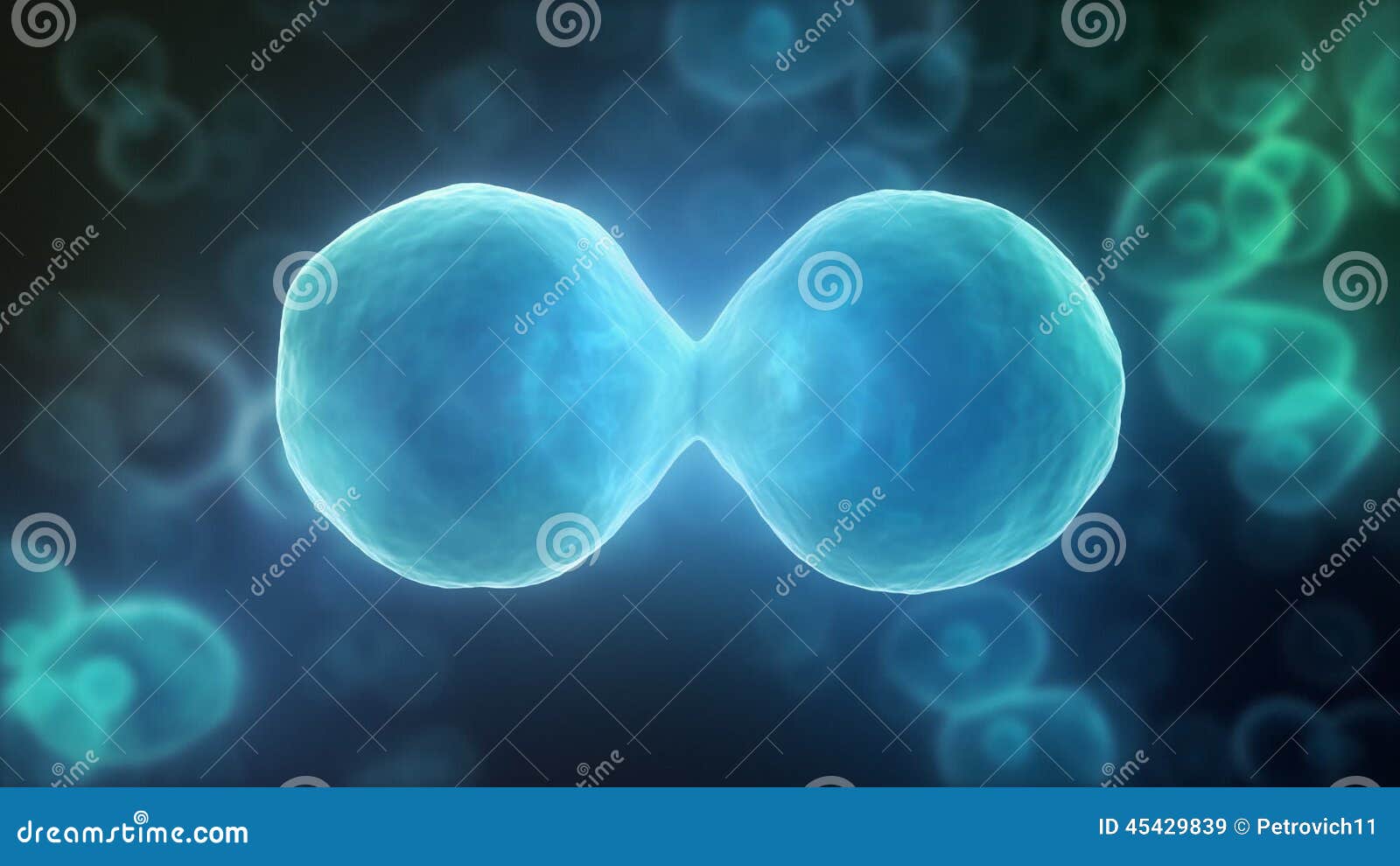 Animation of Cell stock video. Video of embryo, medical - 45429839