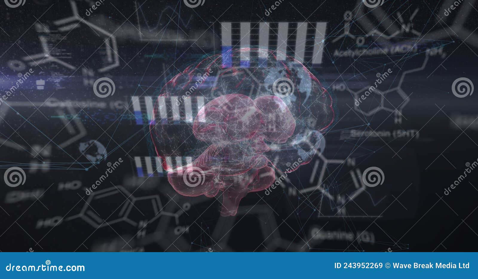 Animation of Chemical Formulas and Data Processing Over Rotating Brain ...