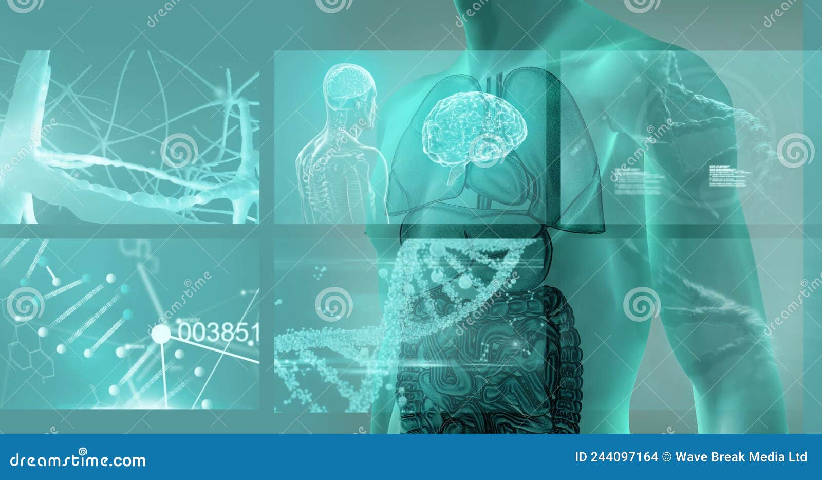 Animation of Data Processing on Screens Over Human Body Model Stock ...