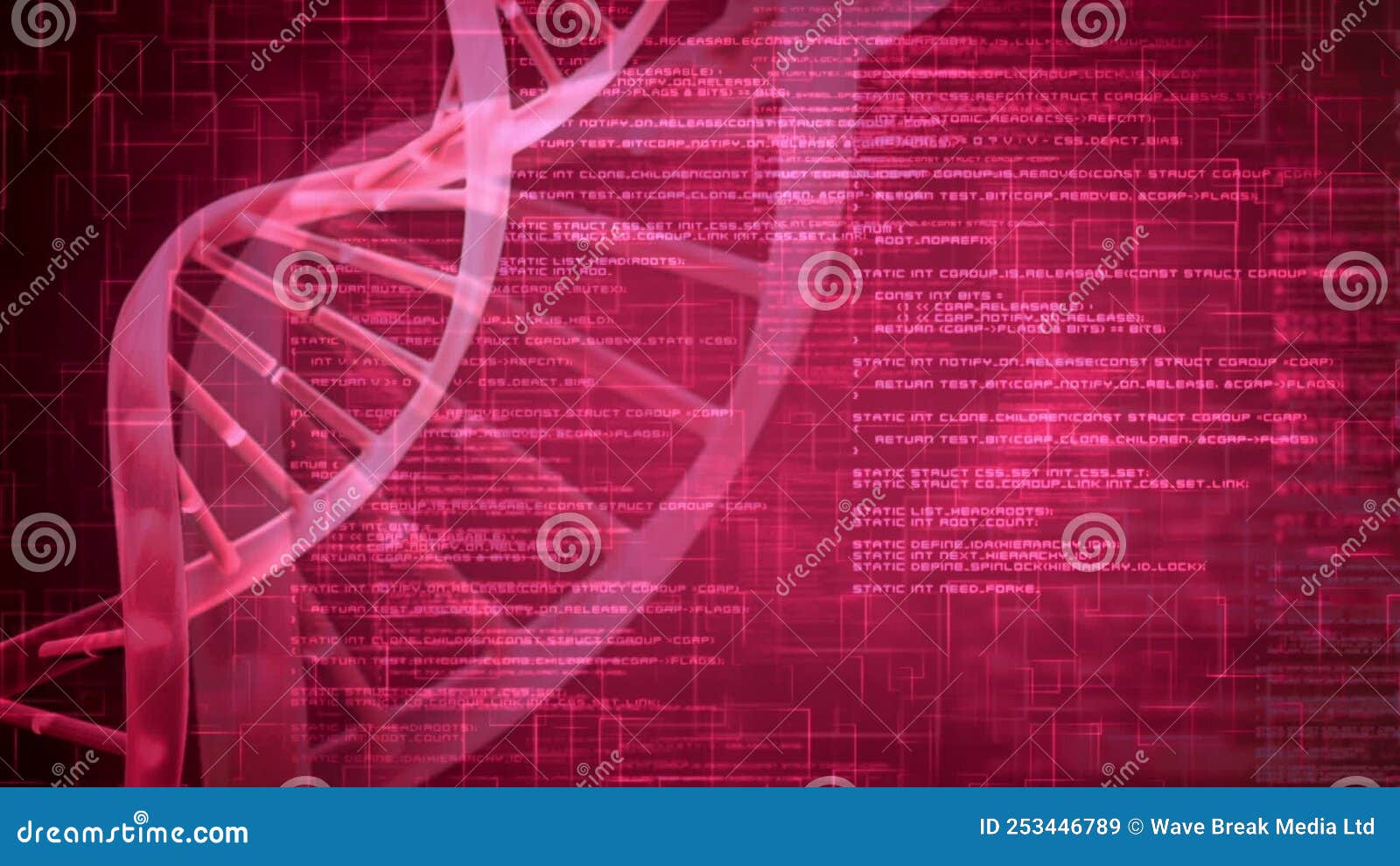 Animation Of Dna Helix Rotating Over Programming Language Over Moving In Loop Stock Video