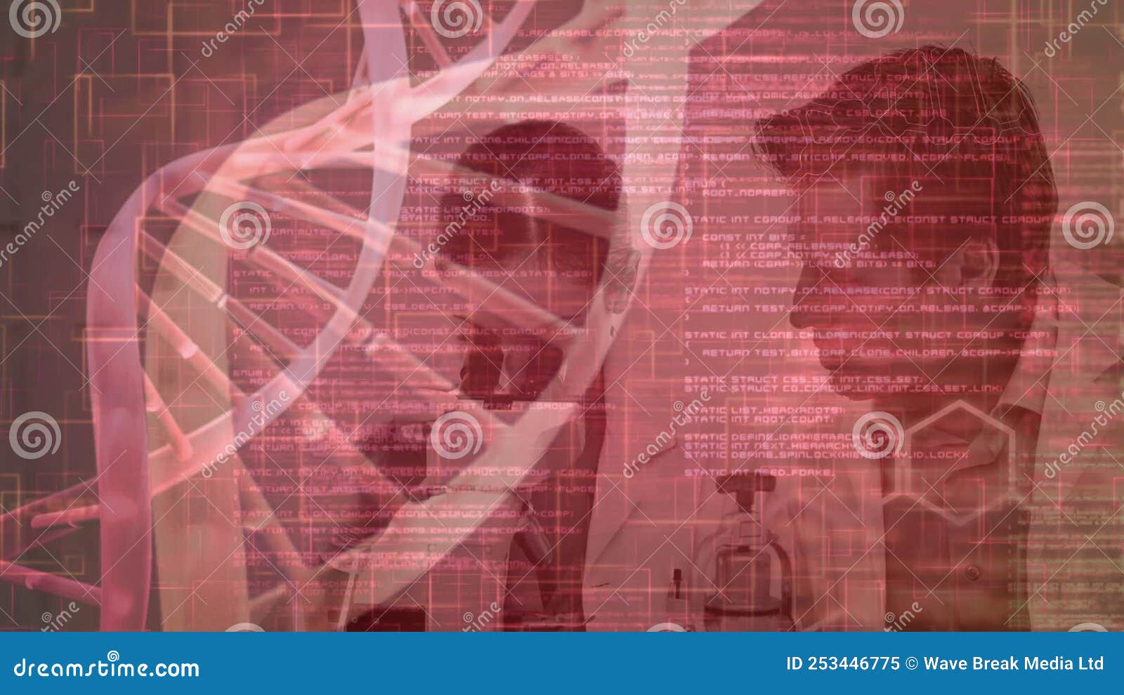 Two People Young Adult Woman Female Mixed Race Mid Adult Man Male ...