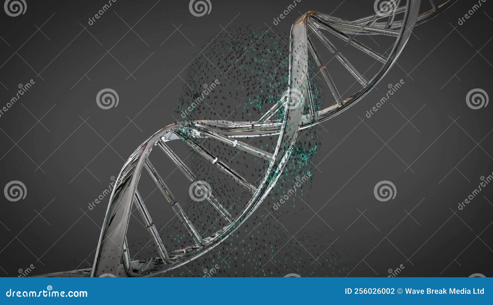 Animation of Dna Strand Over Digital Human Stock Footage - Video of ...