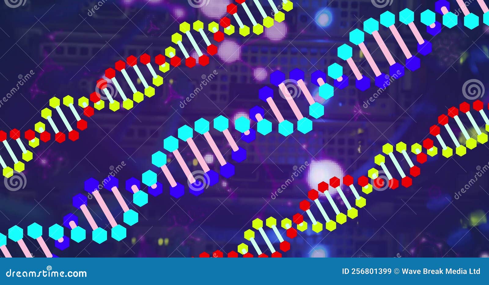 Animation of Dna Strands Over Server Room Stock Video - Video of ...