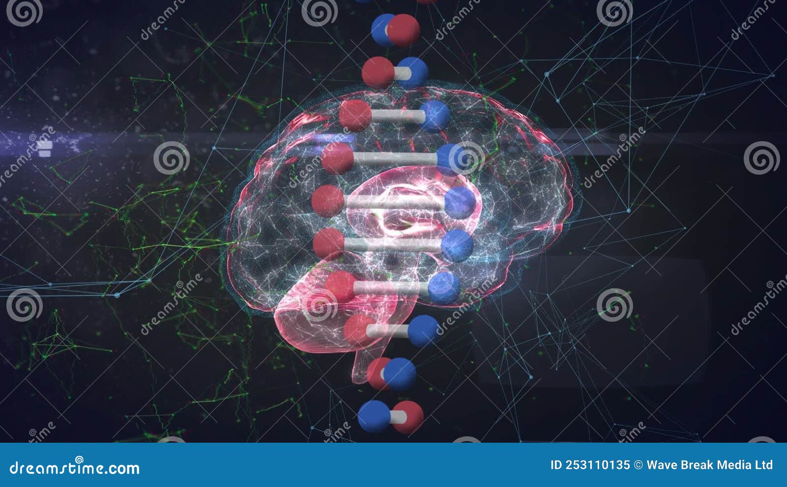 Animation of Dna Structure, Human Brain Rotating on Graphic Interface ...