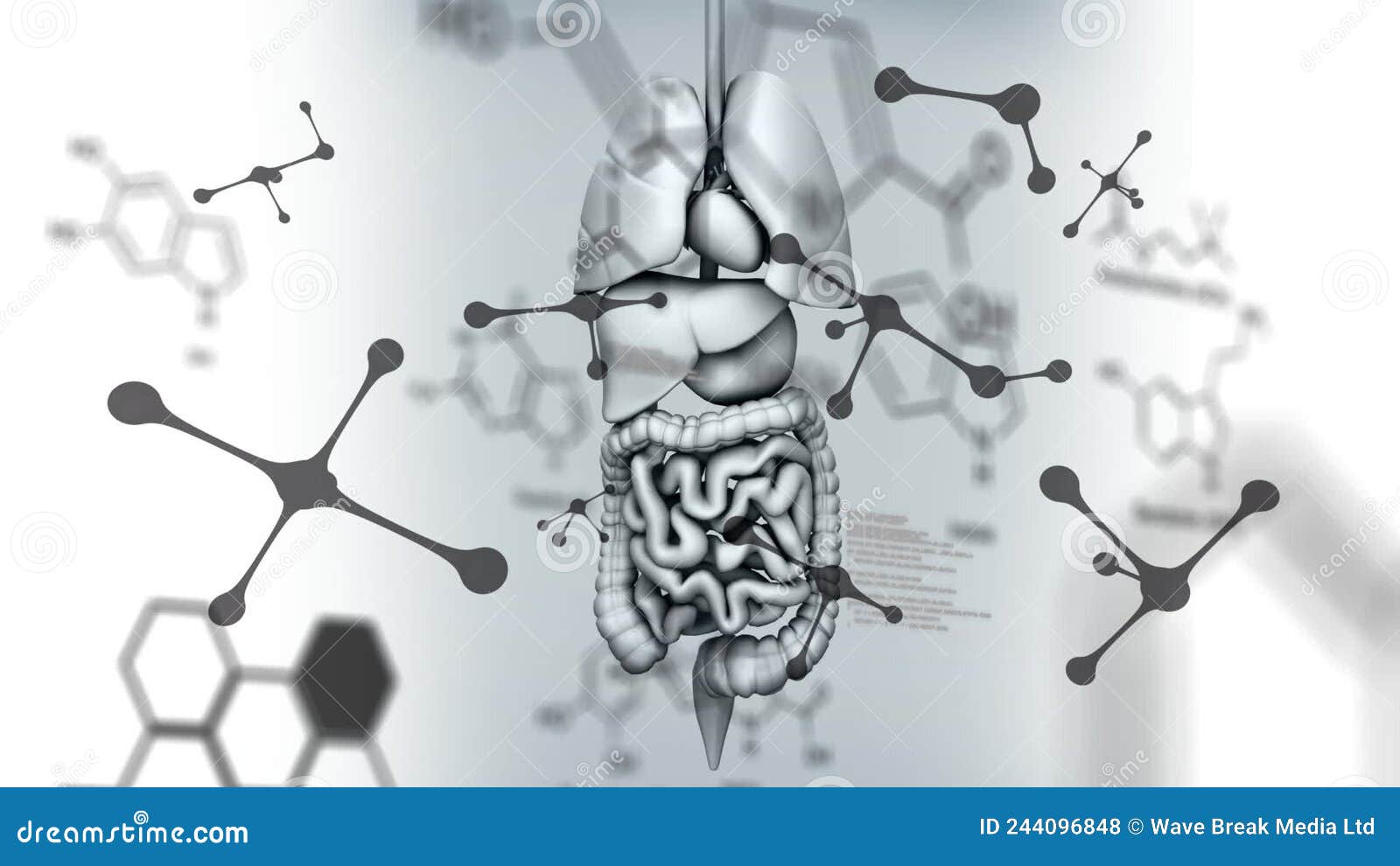 No People Animation Falling Molecule Human Organ Model Global Science ...