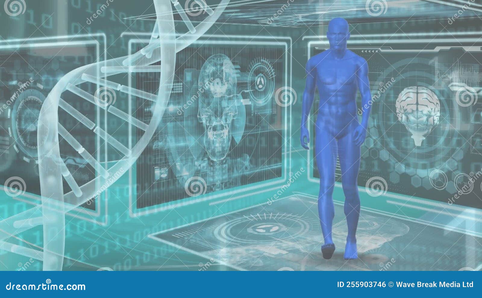 Animation of Hud Interface with Human Body, Brain and Dna Helix Over ...