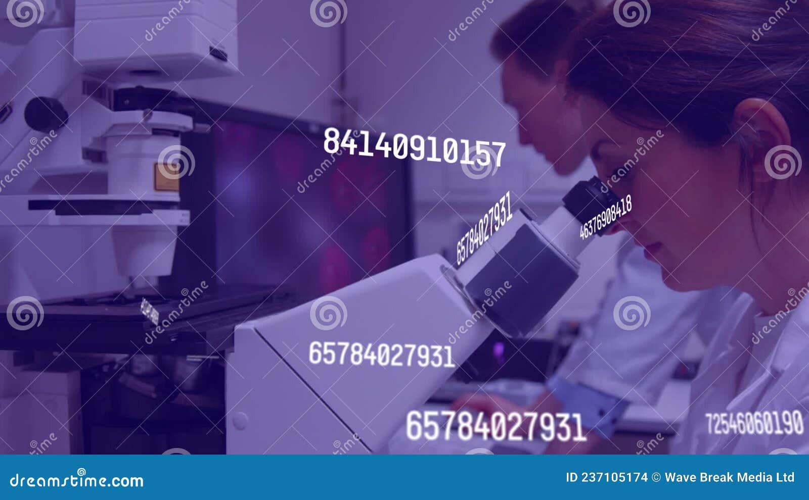 Animation of Increasing Numbers Over Female and Male Analysts Using ...