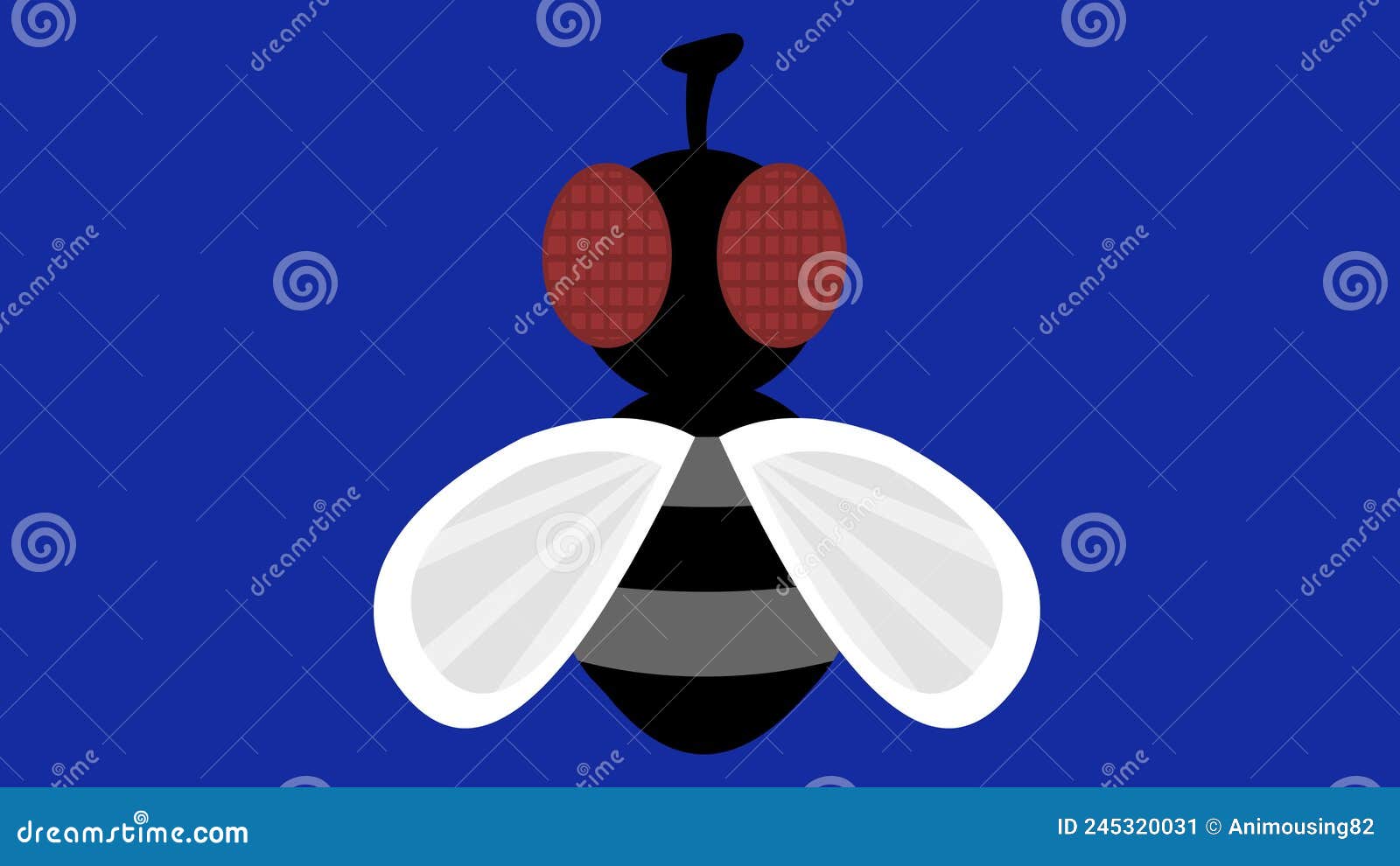 Animation Loop of a Fly Moving Its Wings Stock Video - Video of chroma ...