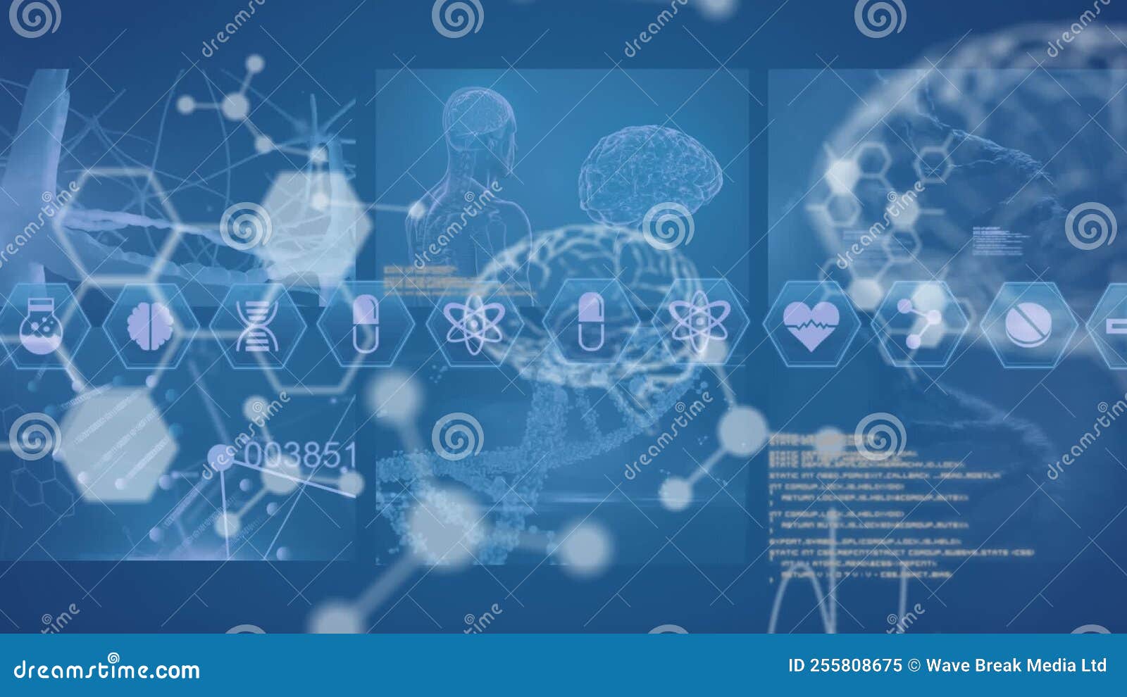 No People Animation Looping Icon Programming Language Human Body Brain ...