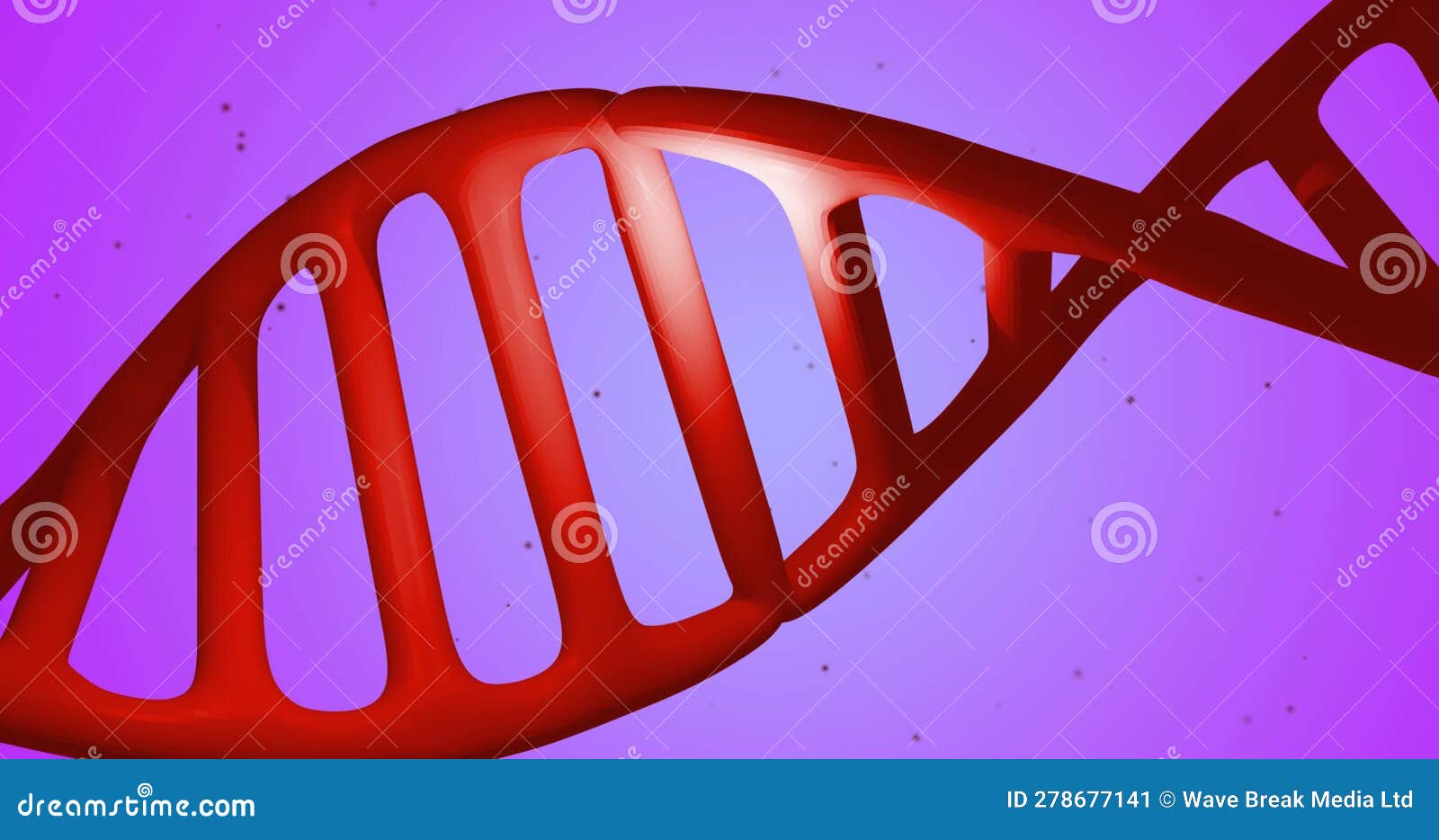 Animation of Macro Red Dna Strand Spinning on Purple Background Stock ...