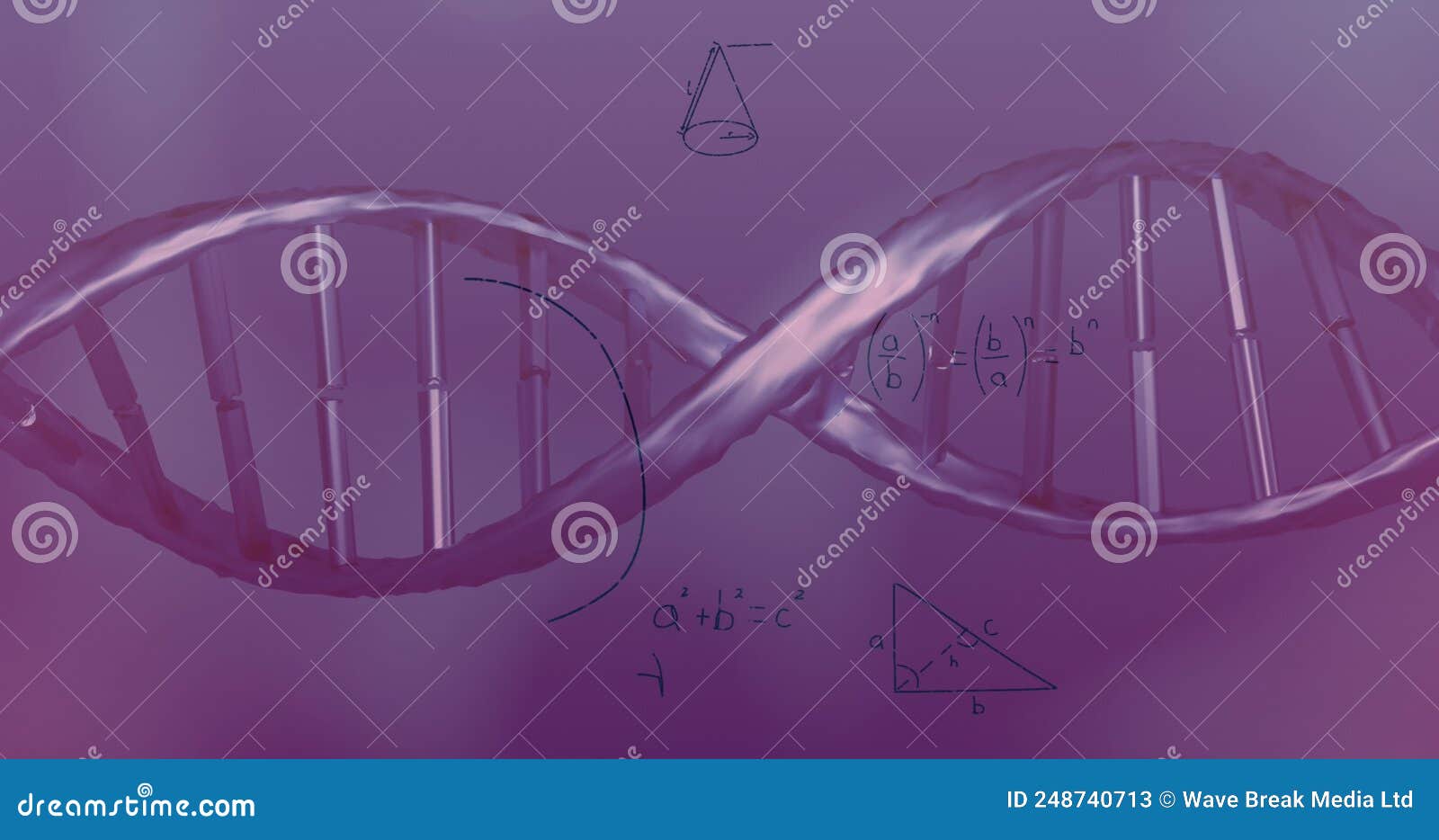Animation of Mathematical Equations, Data Processing Over Dna Strand ...